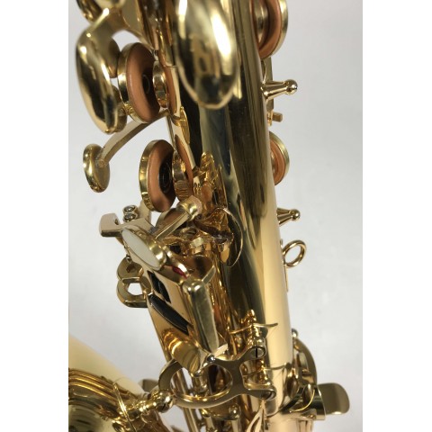 Sax Contralto in Mi Bemolle | Strumenti a fiato Ammoon