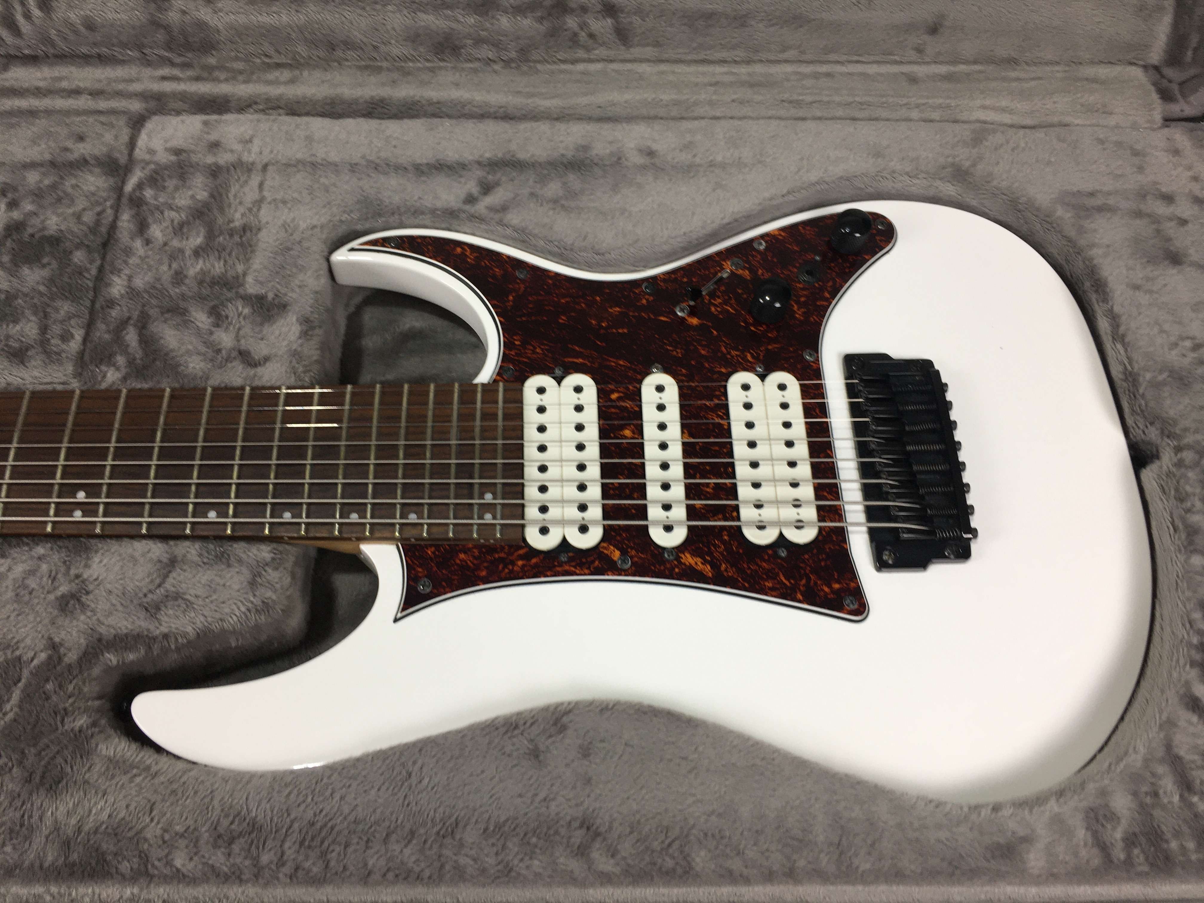 Chitarra Elettrica Ibanez TAM10 Tosin Abasi Signature