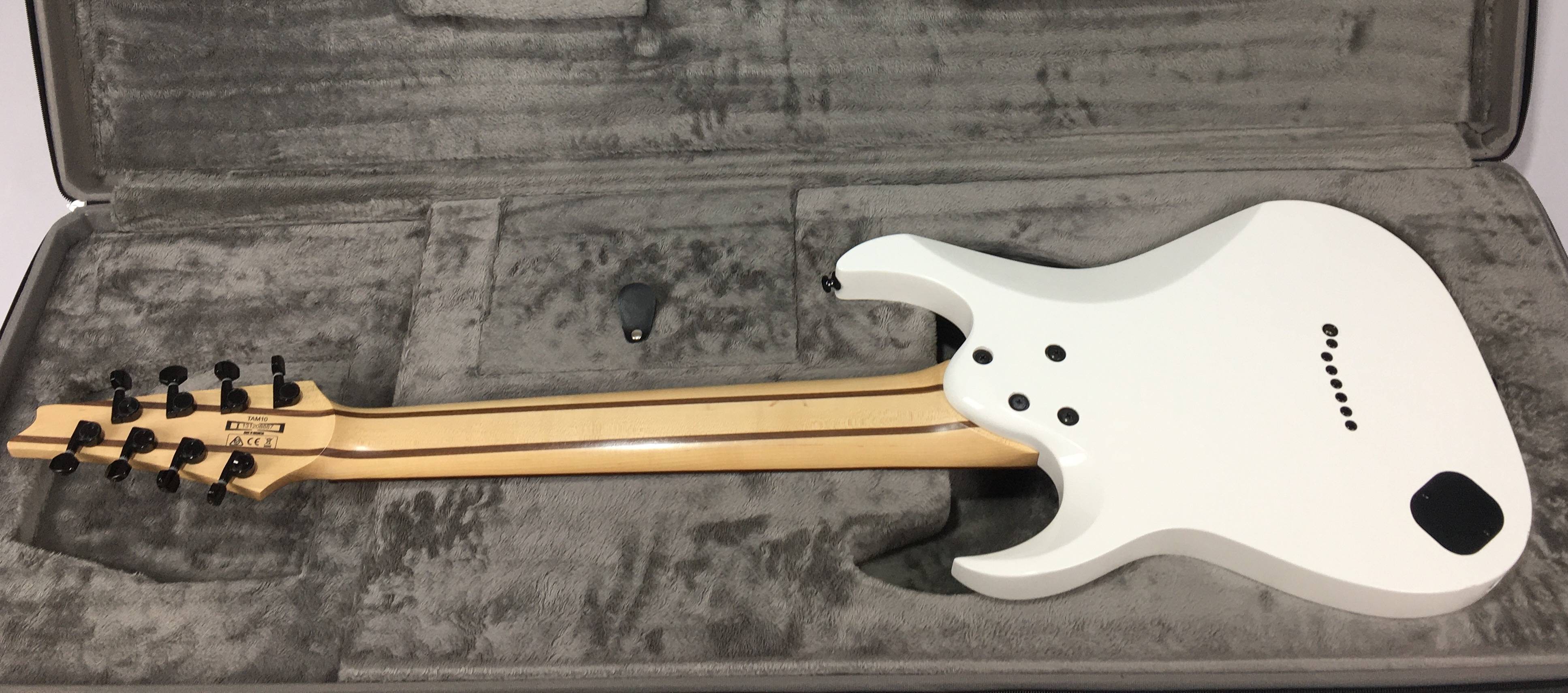 Chitarra Elettrica Ibanez TAM10 Tosin Abasi Signature