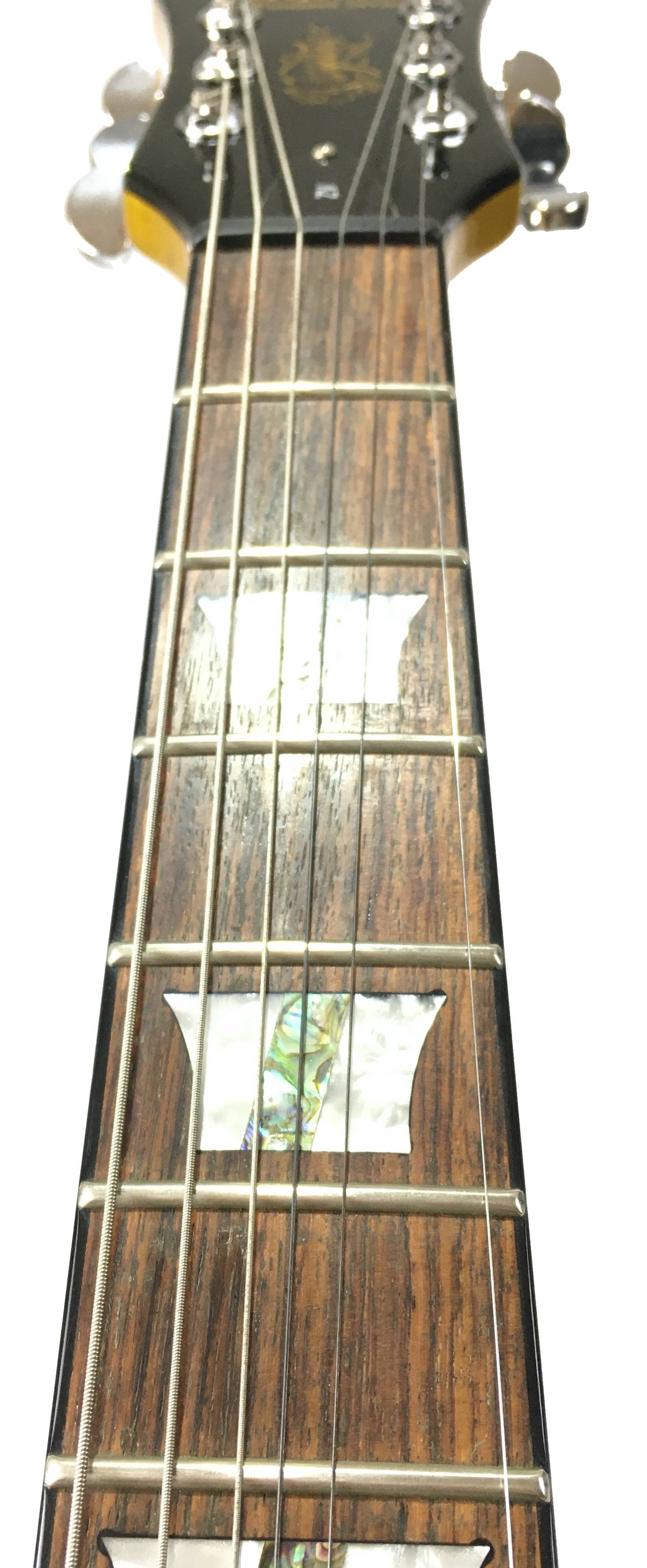 Chitarra Elettrica Schecter Vengeance Blade Custom